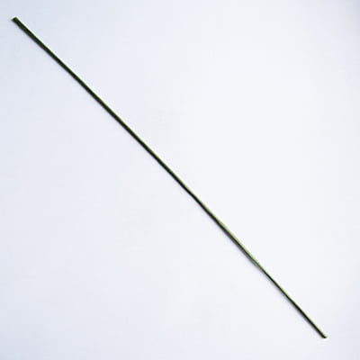 Green stick